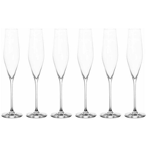 Набор бокалов и рюмок RONA Swan для шампанского, 190 мл, 6 шт., прозрачный