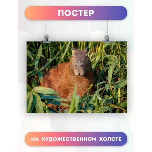 Постер на стену животные капибара animals capybara (7) 30х40 см