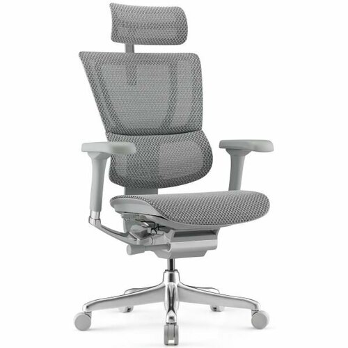 Эргономичное кресло Falto IOO-E2 Elite IOOE2-AG-5D-L-T-168-B2 серый