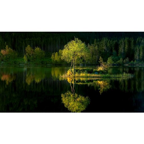 Картина на холсте 60x110 LinxOne "Природа вода зеркало леса" интерьерная для дома / на стену / на кухню / с подрамником