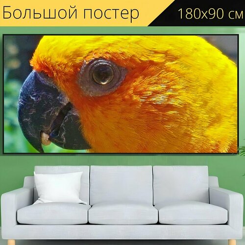Большой постер "Попугай, птица, желтый" 180 x 90 см. для интерьера