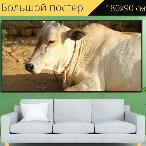 Большой постер "Корова, быки, животное" 180 x 90 см. для интерьера