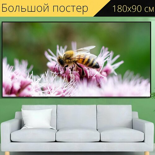 Большой постер "Пчела, цвести, природа" 180 x 90 см. для интерьера