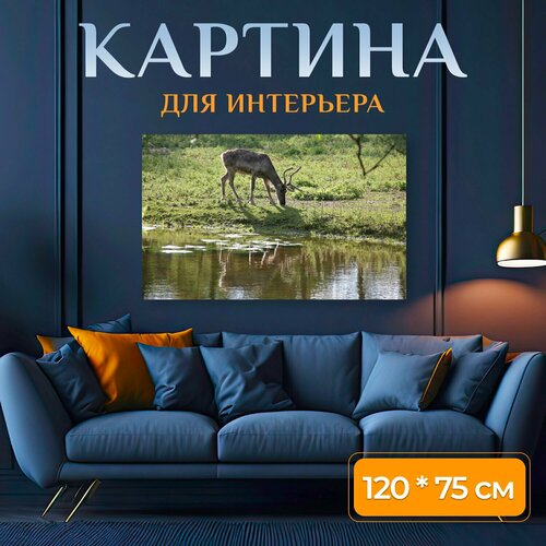 Картина на холсте "Олень, рога, озеро" на подрамнике 120х75 см. для интерьера