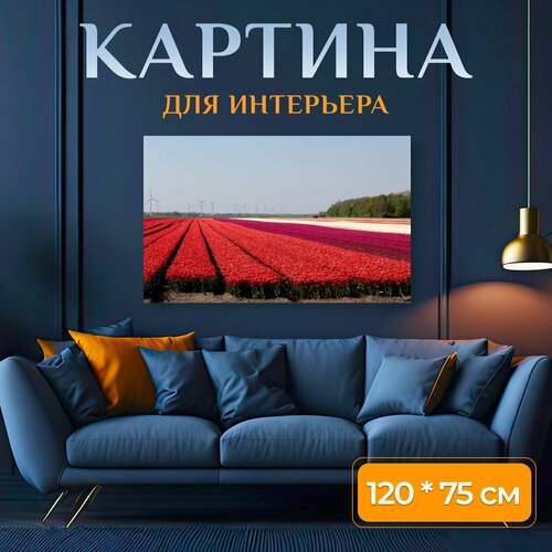 Картина на холсте "Поля тюльпанов, красный, цветы" на подрамнике 120х75 см. для интерьера