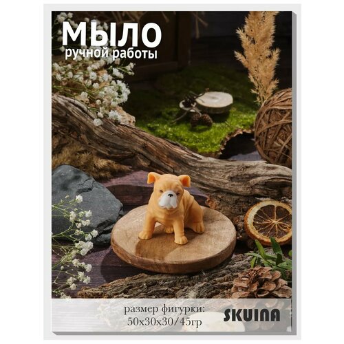 Мыло собака бульдог