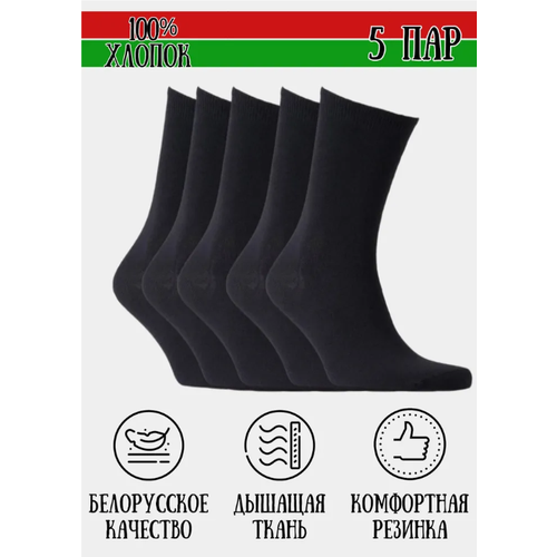 Носки Белорусский хлопок, 5 пар, размер 29 (43-44), черный