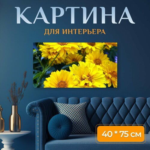 Картина на холсте "Эхинацеи, цветок, цвести" на подрамнике 75х40 см. для интерьера