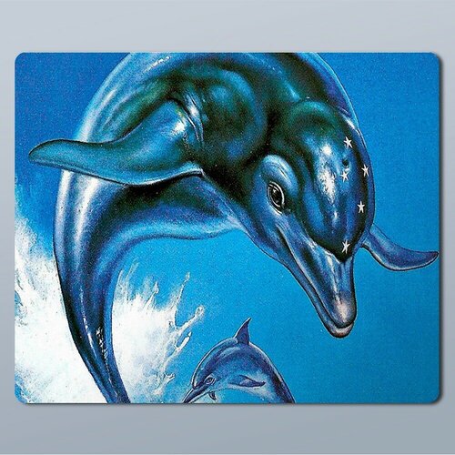 Коврик для мыши с принтом игра Ecco The Dolphin - 9928