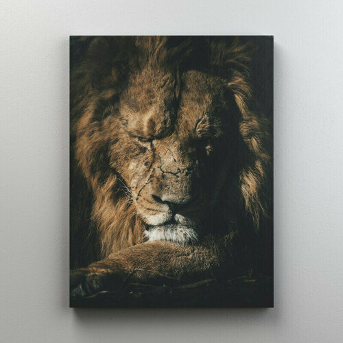 Интерьерная картина на холсте "Лев на отдыхе" размер 30x40 см