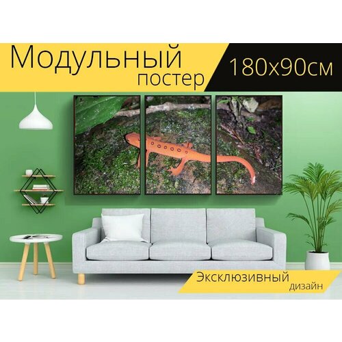 Модульный постер "Тритон, саламандра, апельсин" 180 x 90 см. для интерьера