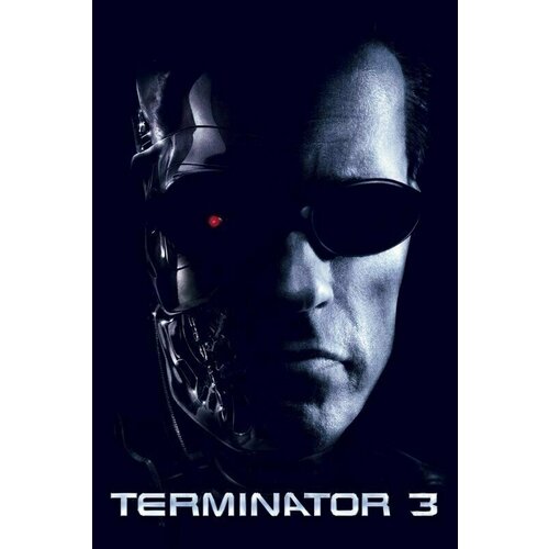 Плакат, постер на бумаге Терминатор 3: Восстание машин (Terminator 3 Rise of the Machines), Джонатан Мостоу. Размер 30 х 42 см