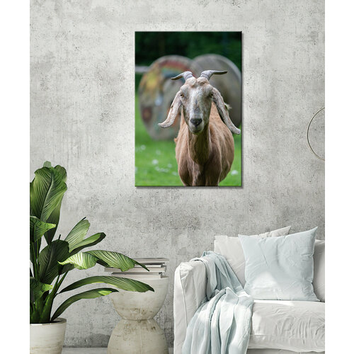 Картина - Коза, козел, коричневый козел, коричневая коза (2) 40х60