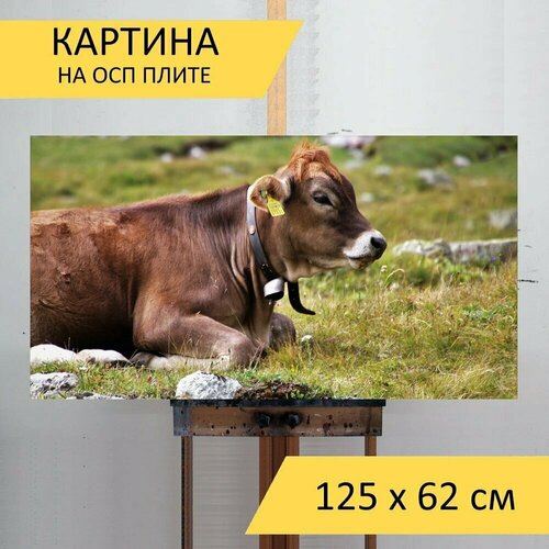 Картина на ОСП 125х62 см. "Корова, крупный рогатый скот, животные" горизонтальная, для интерьера, с креплениями