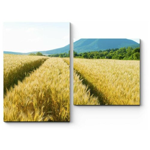Модульная картина Пшеничное поле в лучах солнца 110x83