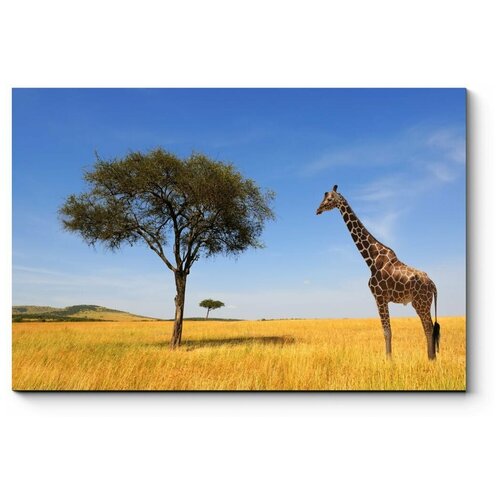 Модульная картина Одинокий африканский жираф 80x53