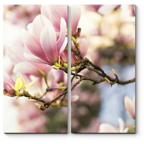 Модульная картина Весны прекрасное цветение 130x130