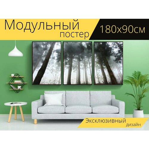 Модульный постер "Кедр, лес, туман" 180 x 90 см. для интерьера