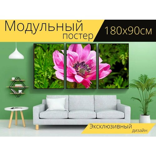 Модульный постер "Цветок, лепестки, анемон" 180 x 90 см. для интерьера
