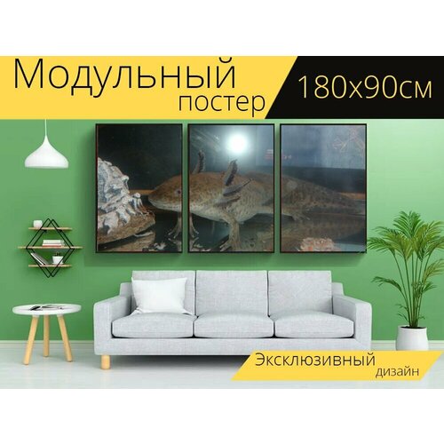 Модульный постер "Аксолотль, саламандра, экзотические домашние животные" 180 x 90 см. для интерьера