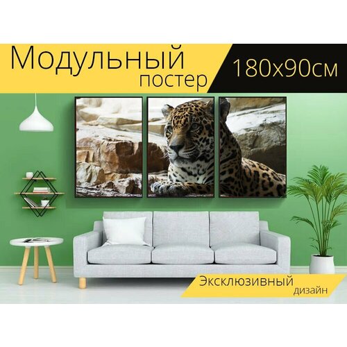 Модульный постер "Ягуар, кошка, животное" 180 x 90 см. для интерьера
