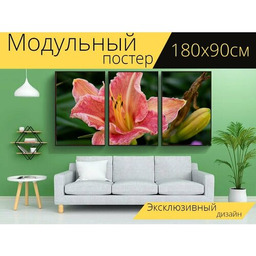 Модульный постер "Hemerocallis впечатляет, лилейников, цветок" 180 x 90 см. для интерьера