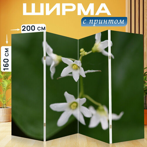 Ширма перегородка с принтом "Дикий, цветы, белый" на холсте - 200x160 см. для зонирования, раскладная