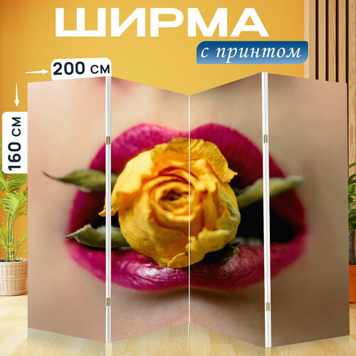 Ширма перегородка с принтом "Цветок, роза, лепесток" на холсте - 200x160 см. для зонирования, раскладная