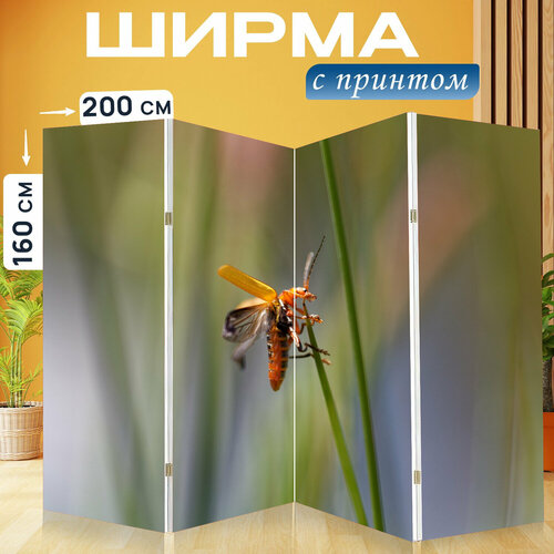 Ширма перегородка с принтом "Жук, насекомое, макрос" на холсте - 200x160 см. для зонирования, раскладная