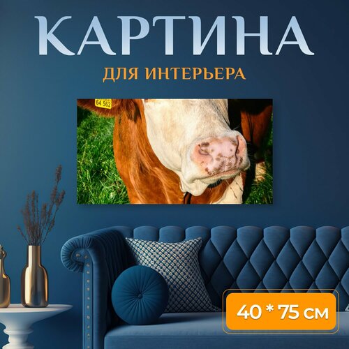 Картина на холсте "Рога, корова, голова" на подрамнике 75х40 см. для интерьера