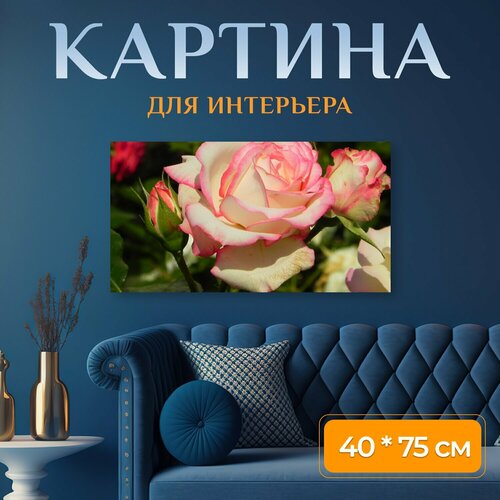 Картина на холсте "Роза, завод, цветок" на подрамнике 75х40 см. для интерьера