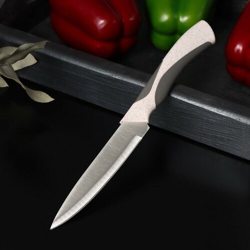 Доляна Нож кухонный Доляна «Мезури», лезвие 12,5 см, цвет микс