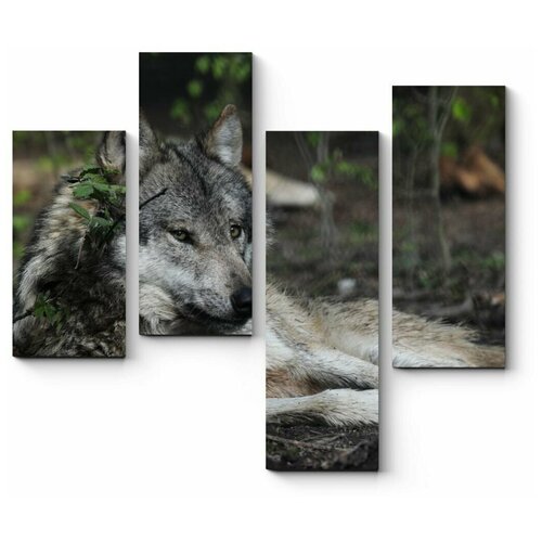 Модульная картина Волк отдыхает в лесу 134x126