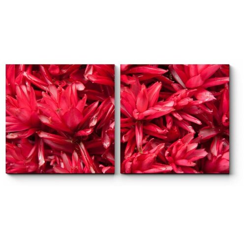 Модульная картина Красные тропические цветы50x25