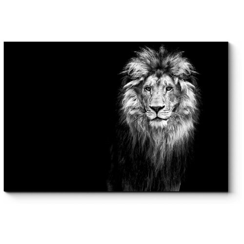 Модульная картина Портрет льва в темноте60x40