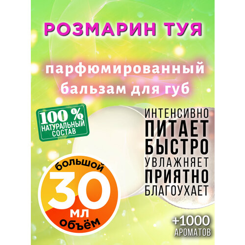 Розмарин туя - натуральный бальзам для губ Аурасо, увлажняющий, парфюмированный, 30 мл