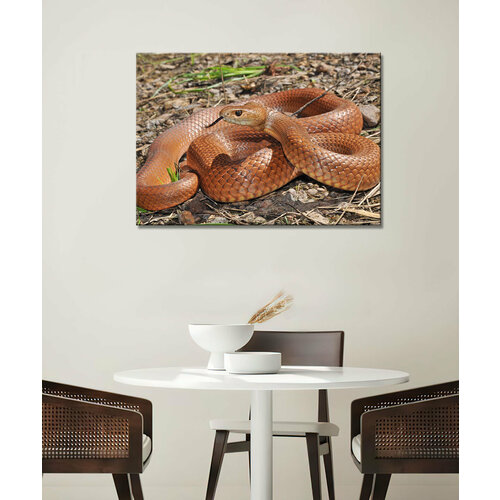 Картина - змея, сетчатая змея, коричневая змея, ядовитая змея, большая змея, кожа змеи (3) 50х70
