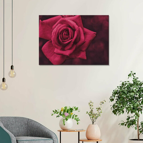 Интерьерная картина на холсте - роза 40х60