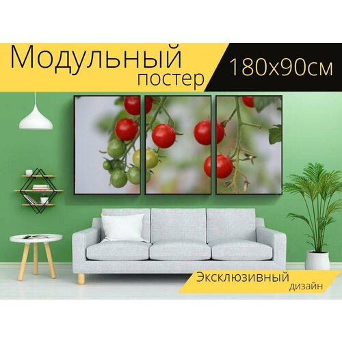 Модульный постер "Помидоры, помидоры черри, помидоры красный" 180 x 90 см. для интерьера