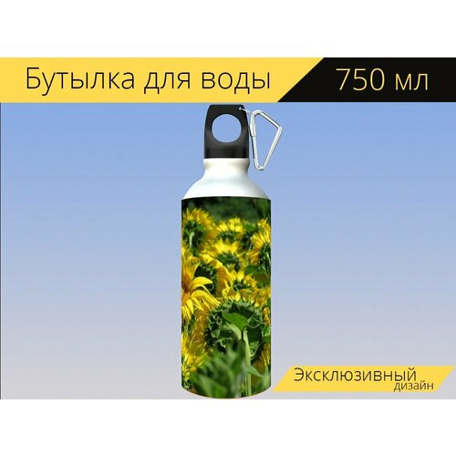 Бутылка фляга для воды "Подсолнухи, подсолнечное поле, цветок" 750 мл. с карабином и принтом