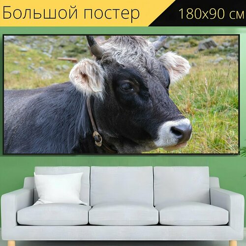 Большой постер "Корова, говядина, бык" 180 x 90 см. для интерьера