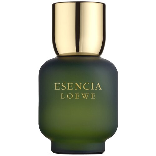 Loewe туалетная вода Esencia Homme, 100 мл