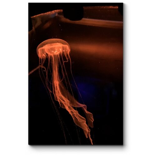 Модульная картина Красная-прекрасная медуза 30x45