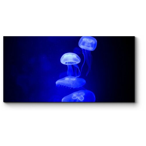 Модульная картина Медузы плывущие к свету 70x35
