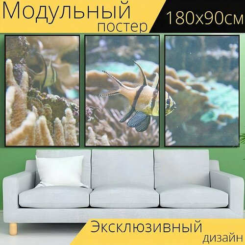 Модульный постер "Аквариум, море, рыбы" 180 x 90 см. для интерьера