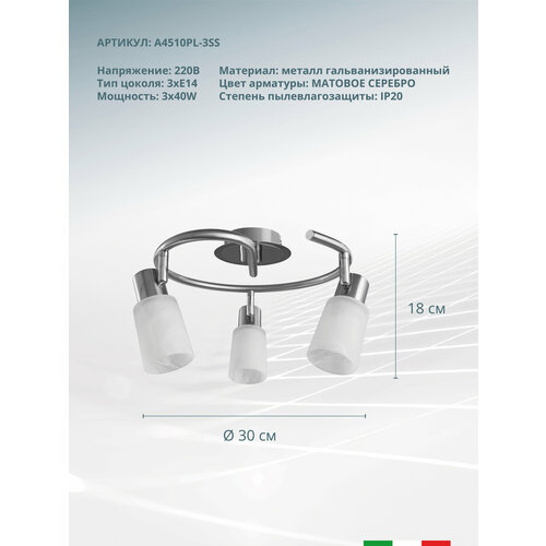 Светильник потолочный Arte Lamp A4510PL-3SS