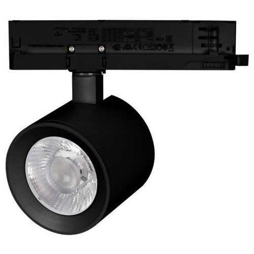 Трековый светильник Arlight LGD-Nika-4TR-R100-20W Day4000 031111