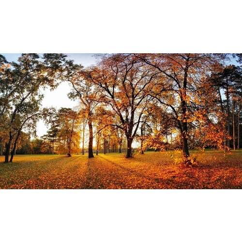 Картина на холсте 60x110 LinxOne "Autumn park деревья листья" интерьерная для дома / на стену / на кухню / с подрамником