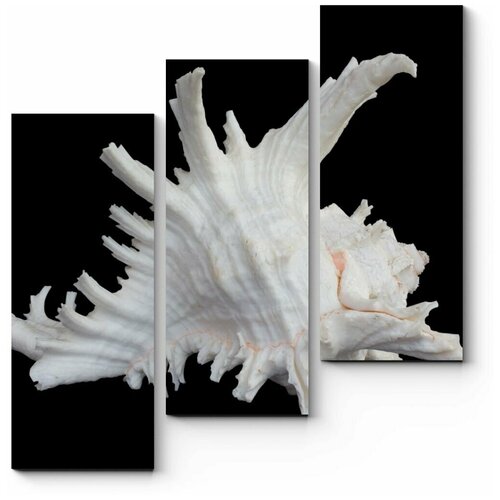 Модульная картина Морская раковина130x139