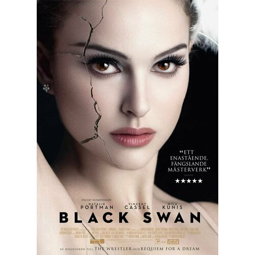 Плакат, постер на бумаге Черный лебедь (Black Swan, 2010г). Размер 30 на 42 см